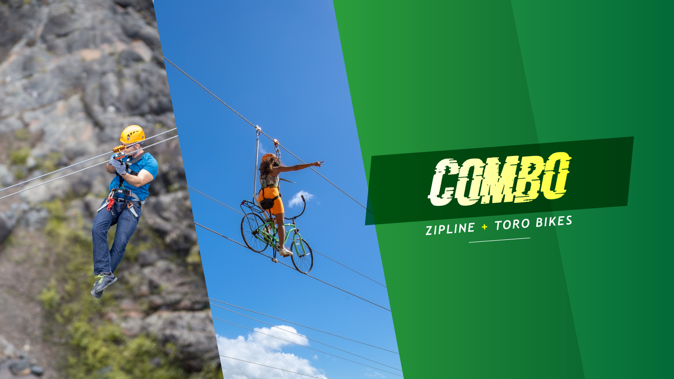 Home | Toro Verde Eco Adventure Park Orocovis